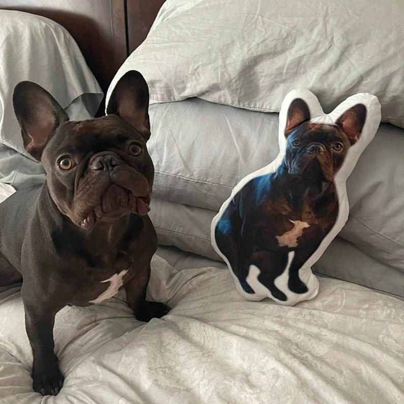 Custom 3D Pet Pillow - Personalize With Your Lovely Pet - Personalized ...